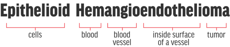 What is Epithelioid Hemangioendothelioma? - EHE Foundation